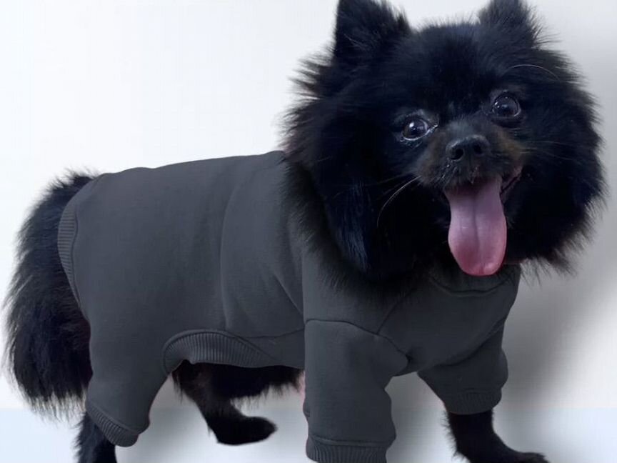 Кофта для собак и кошек (утепленная)