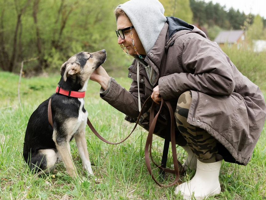 Отдам небольшую собачку Куцика