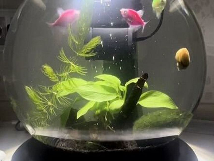 Аквариум Tetra Cascade Globe