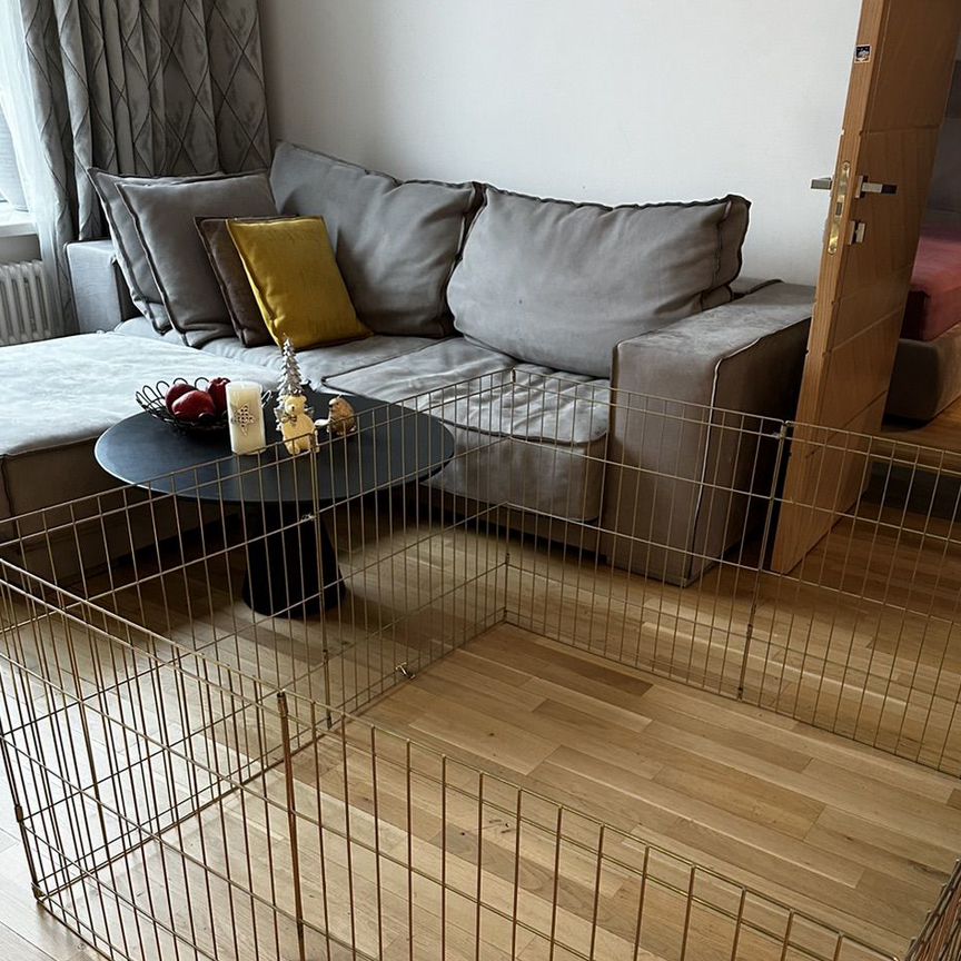 Вольер трансформер для собак