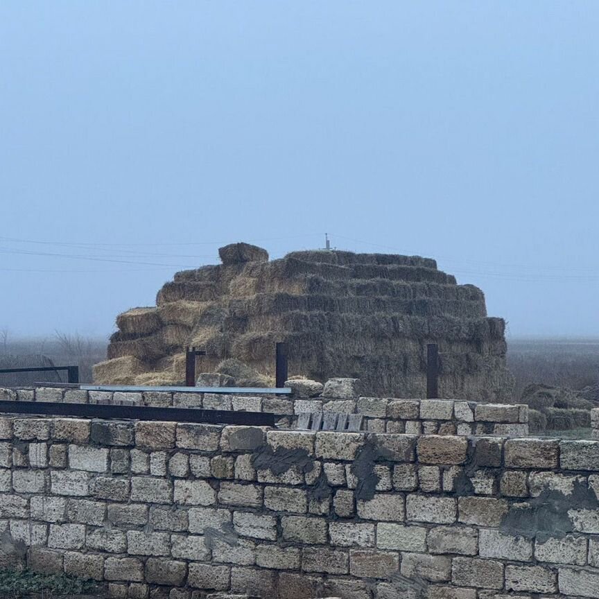 Тюки ячмень яровой