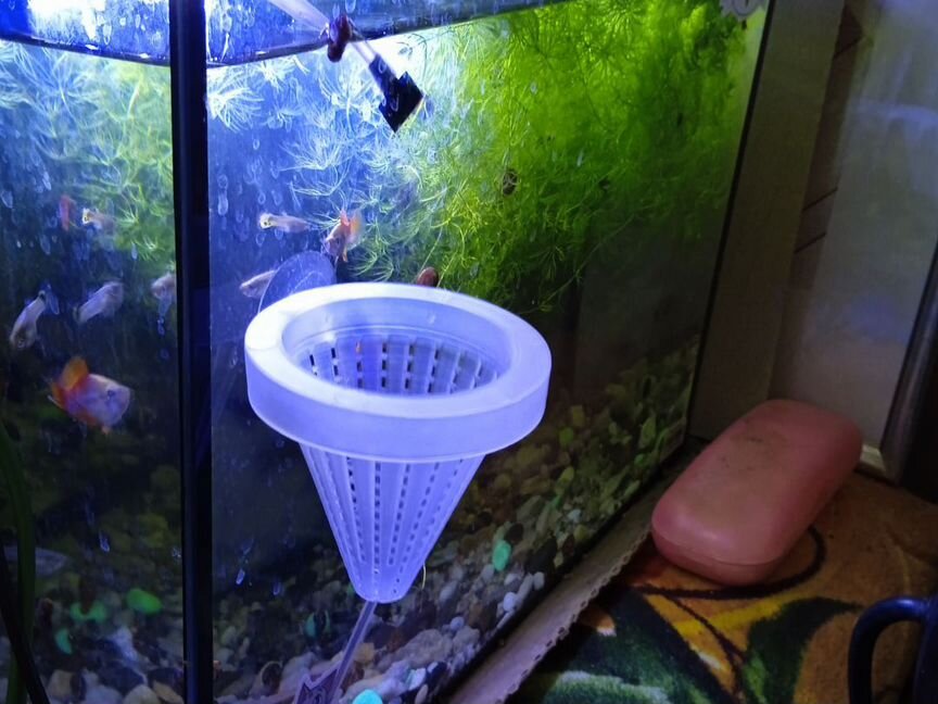 Кормушка для рыбок