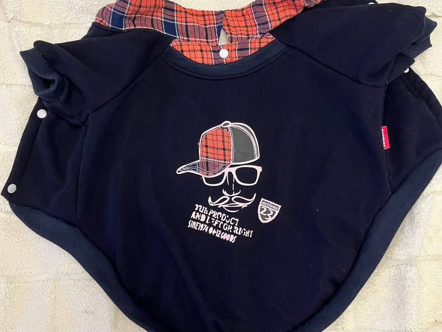 Одежда для большой собаки