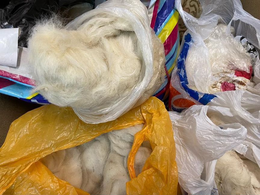 Собачья шерсть от алабая