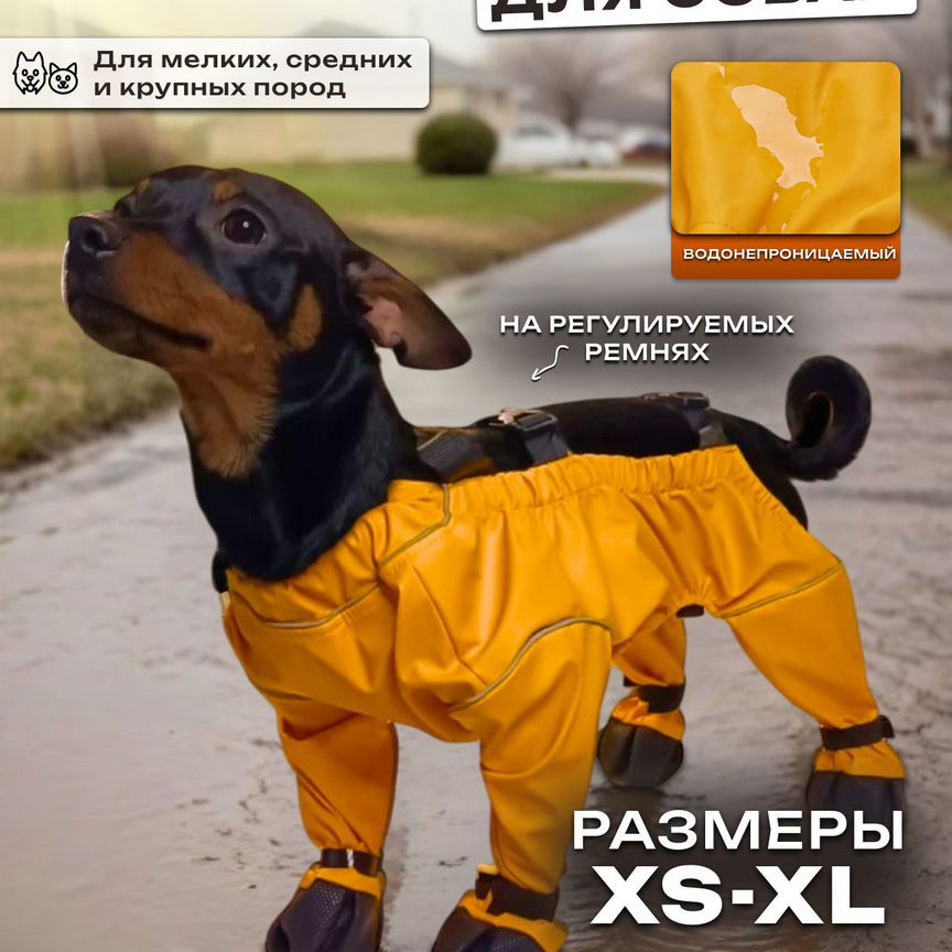 Обувь для маленьких собак