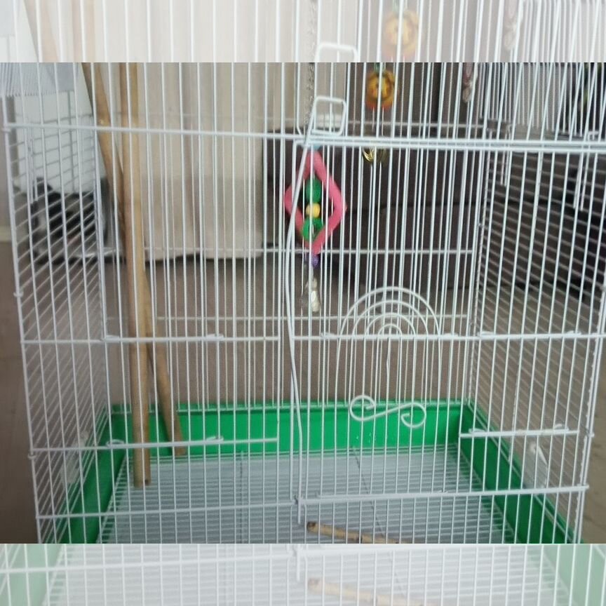 Клетка для попугаев (средних)