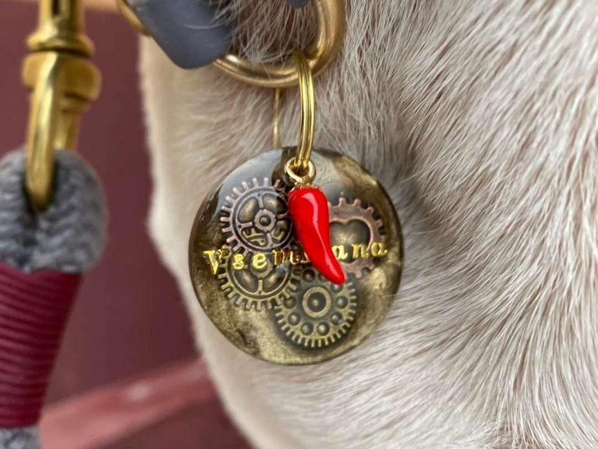 Адресник для собак