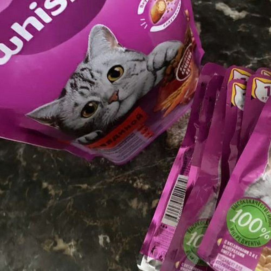 Корм для кошек влажный всех видов