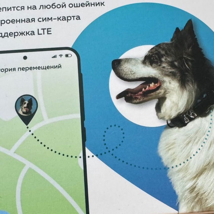 Gps ошейники Petsee