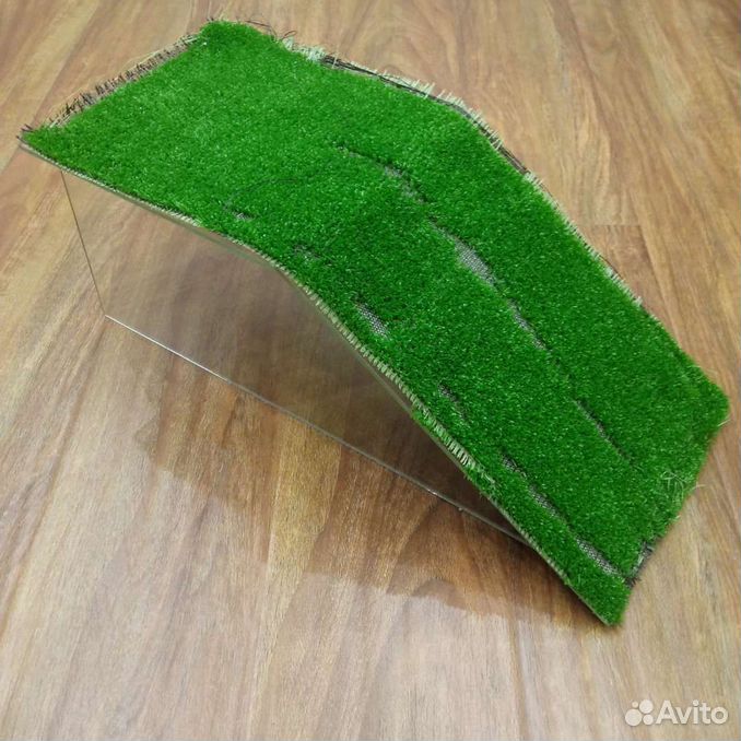 Мостик, берег для черепах