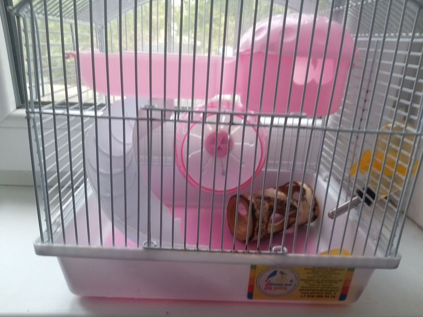 Клетка для хомяка и корм