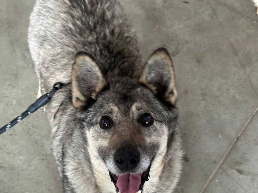 Малыш Тимка