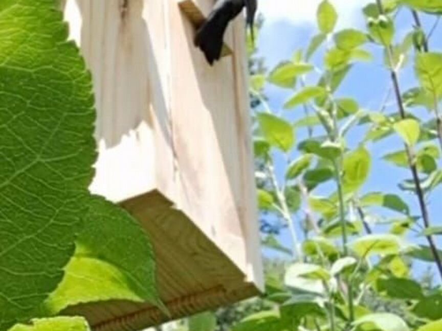 Скворечник, синичник