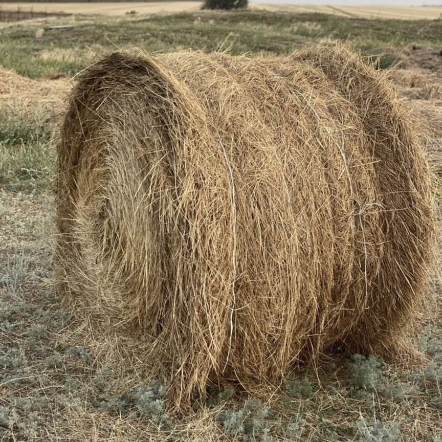 Сено в рулонах