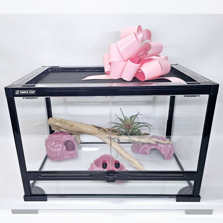 Террариум новый 30х30х45 см с наполнением