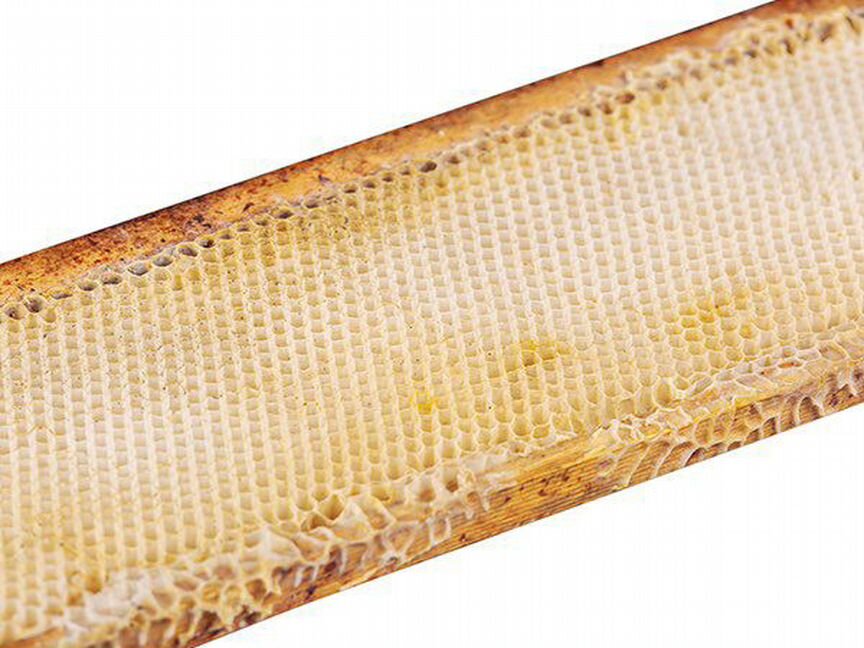 Сушь для пчел