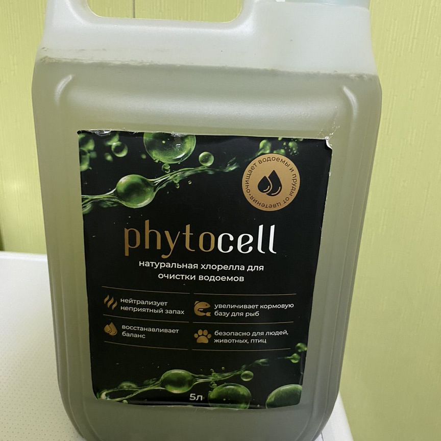 Хлорелла для очистки водоемов