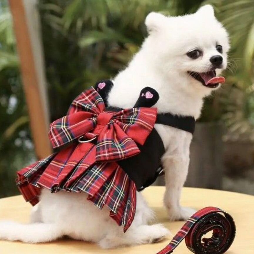 Продам платье для собак и кошек