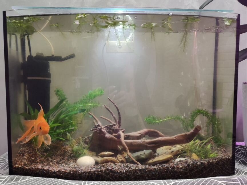 Аквариум 54л