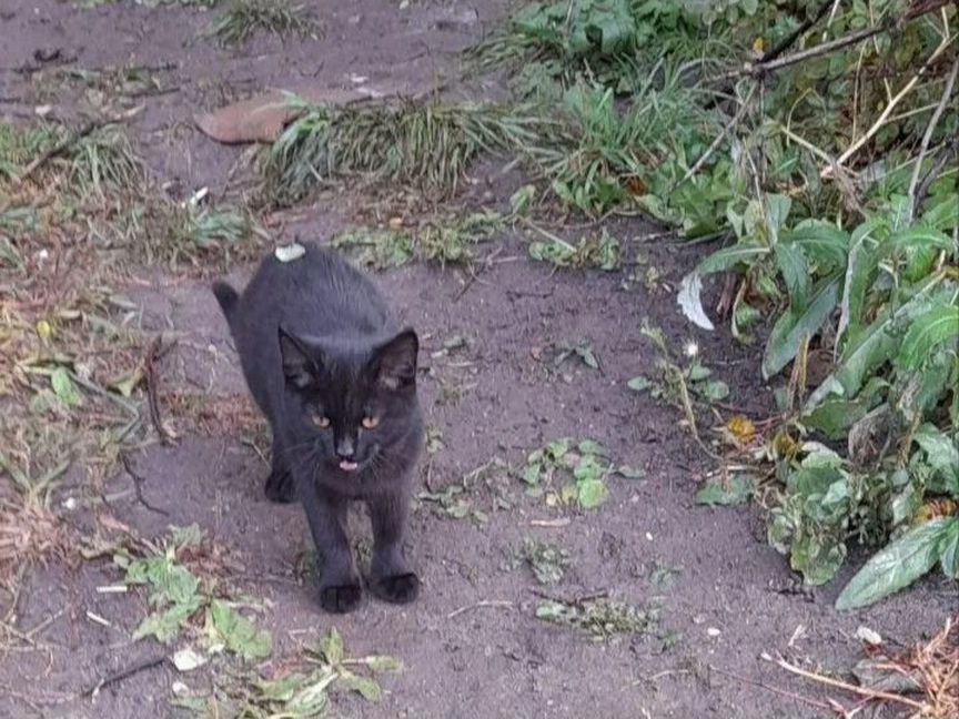 Малышка замерзает