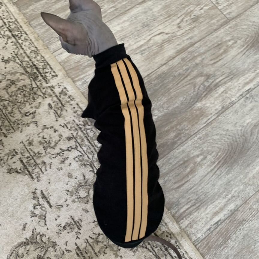 Одежда для животных