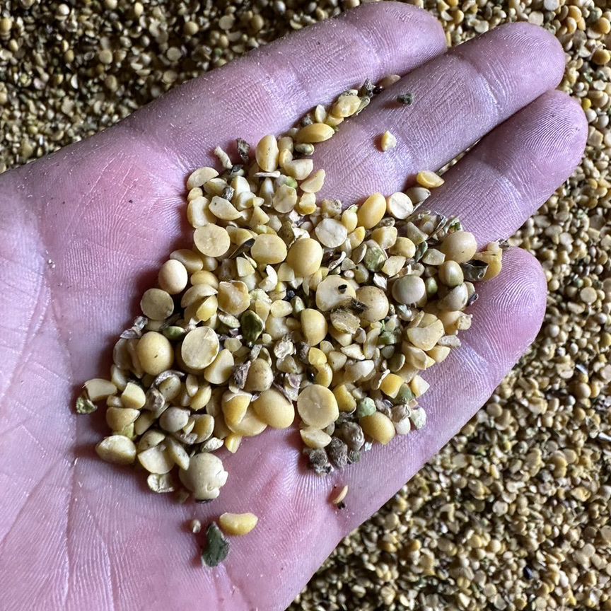 Соя половинки