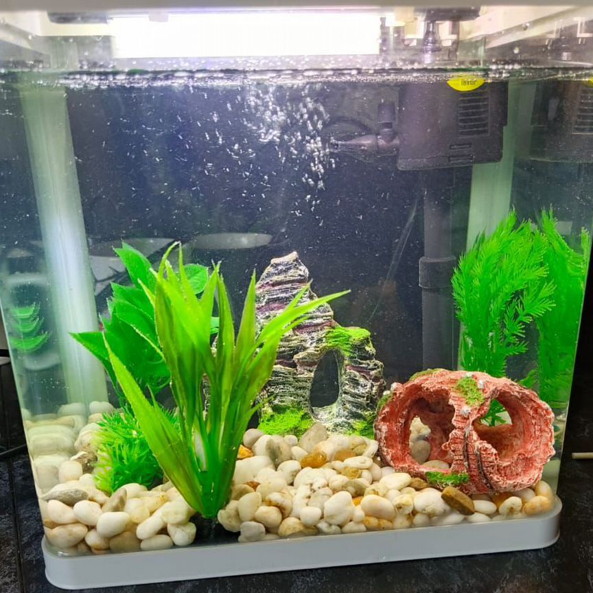 Аквариум с рыбками