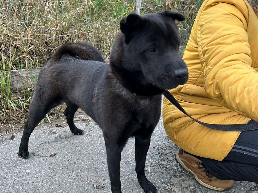 Лилу предали и она оказалась не нужной