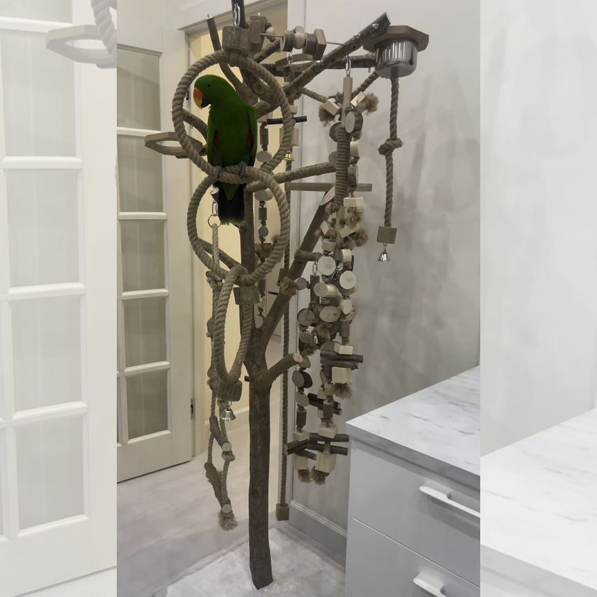 Стенд для попугая