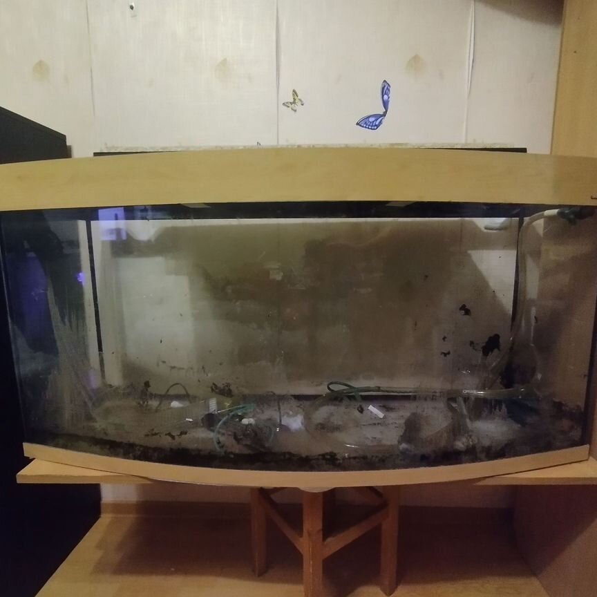 Аквариум 250 литров