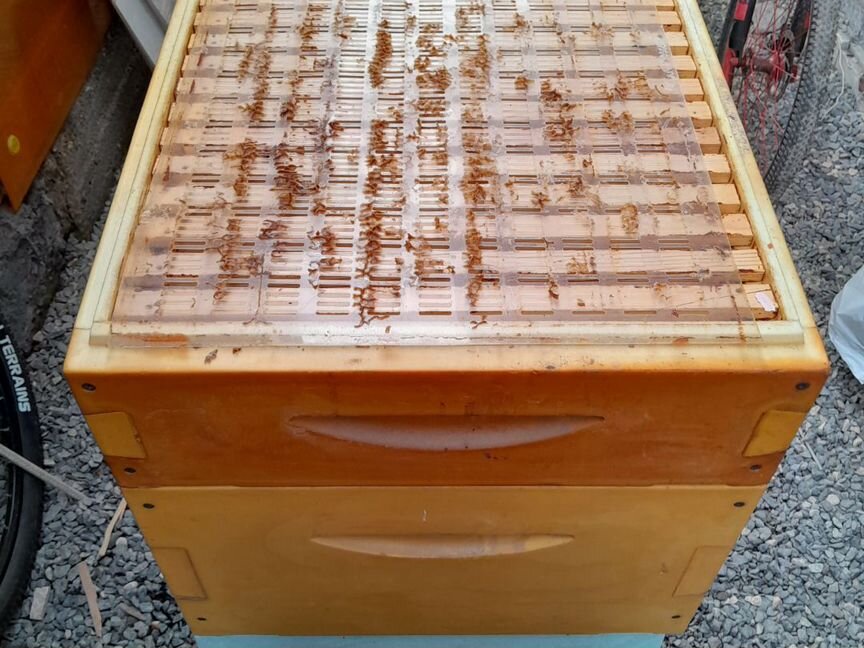 Улей для пчел бу