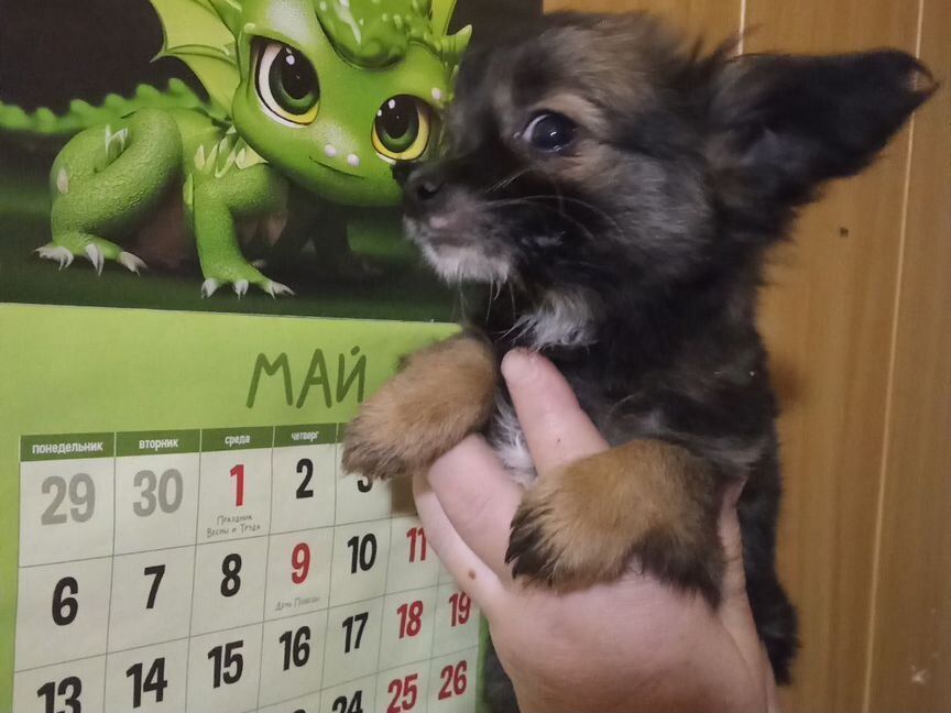 Особенная малышка