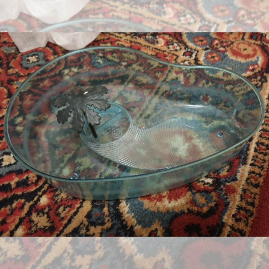 Аквариум для черепашки