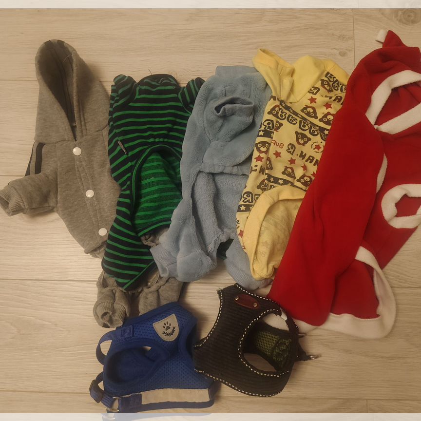 Одежда для маленьких собак s