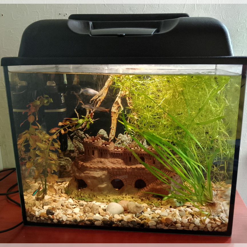 Аквариум 25 литров с рыбками