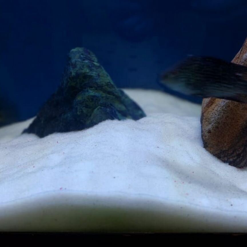 Кварцевый песок для аквариума