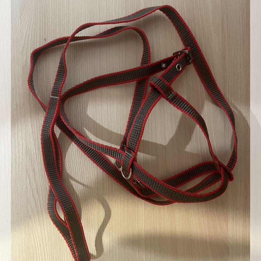 Шлейка для маленькой собаки