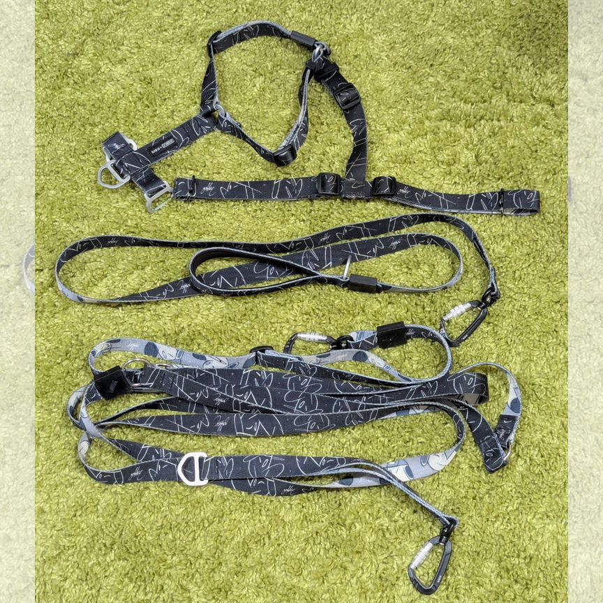 Амуниция для собак staya