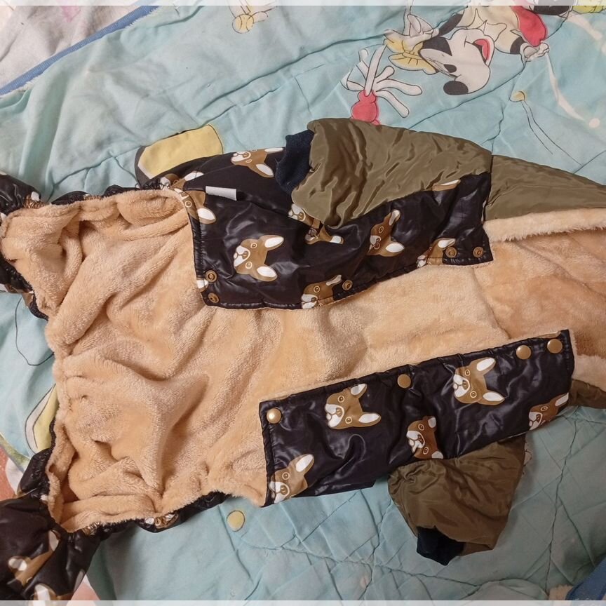 Одежда для собак