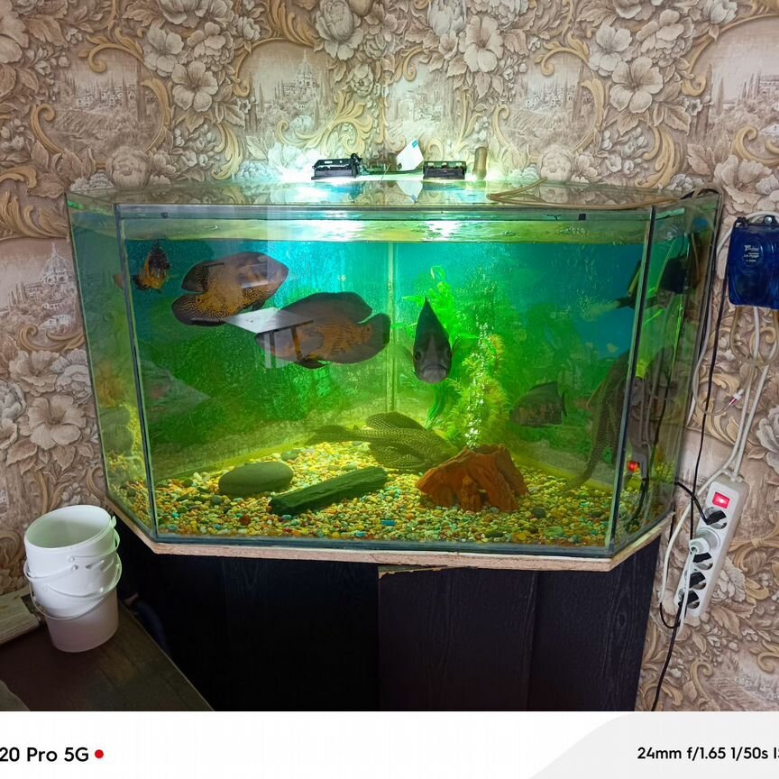 Аквариум с тумбой 250 литров