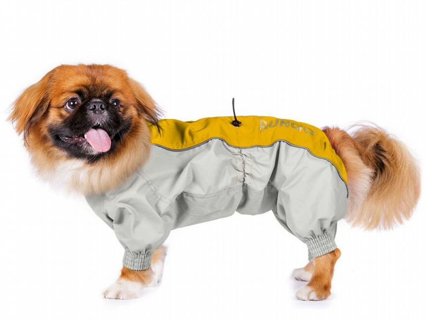 Комбинезон - дождевик rungo для кобеля
