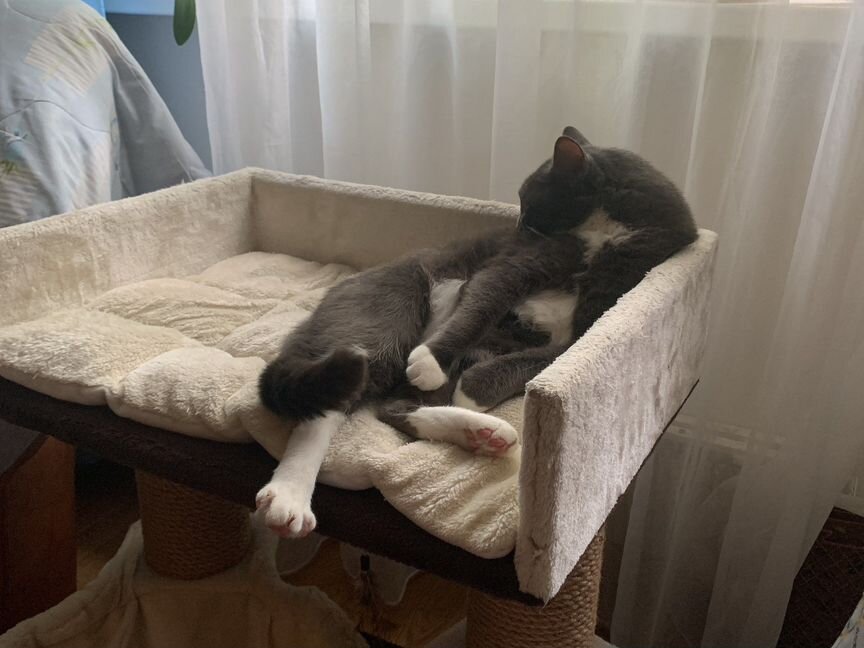 Лежанка - Когтеточка