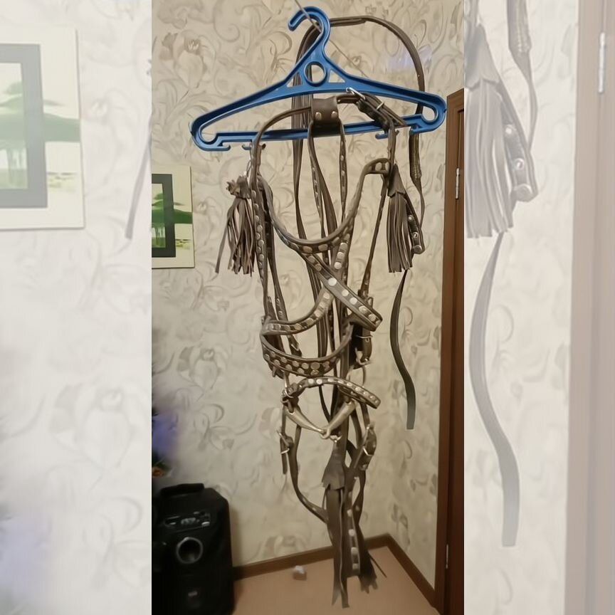 Узда с поводом