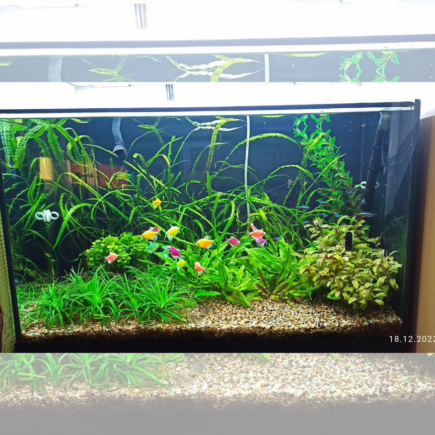 Аквариум с тумбой бу