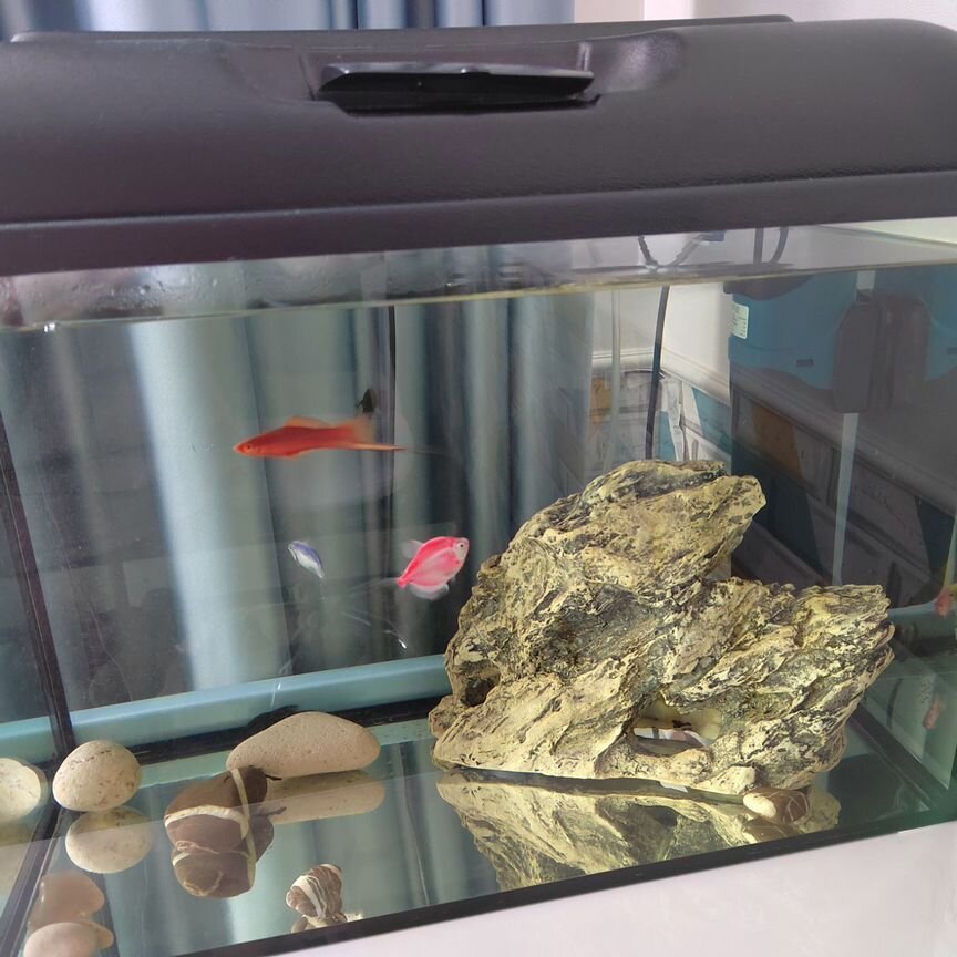 Аквариум с рыбками 60л