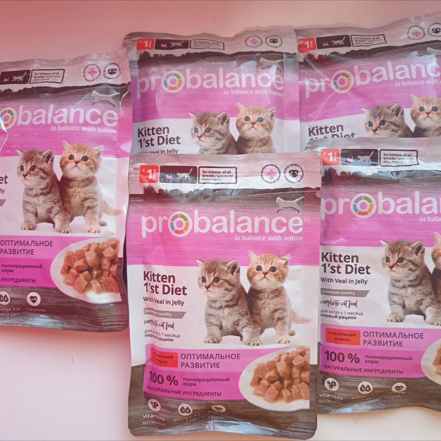 Влажный корм для котят probalance
