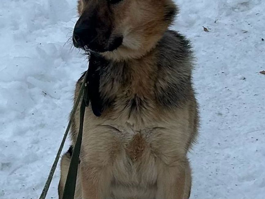 Мальчик из приюта ищет семью