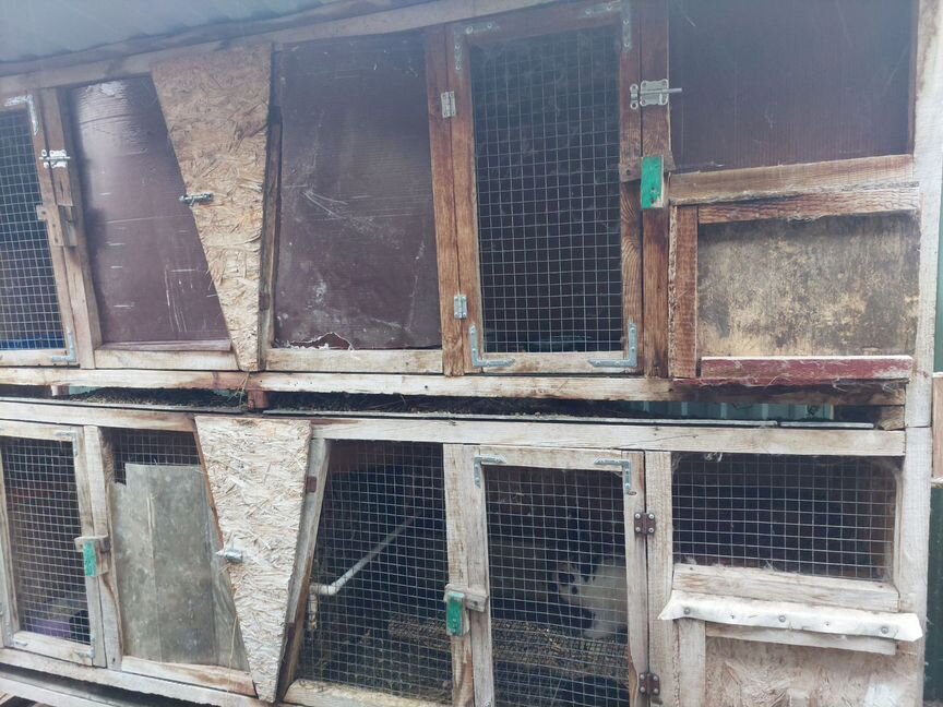 Продам клетки для кроликов бу