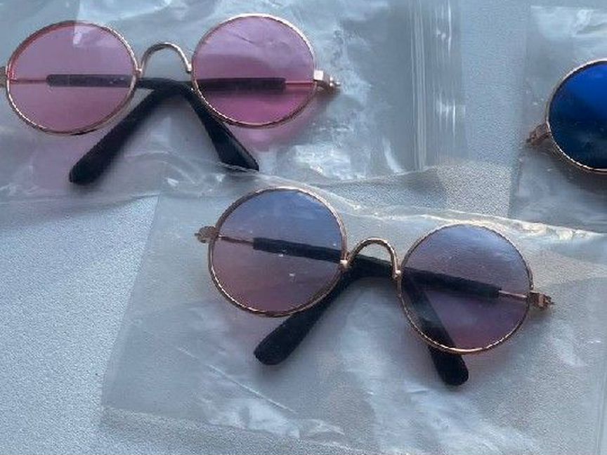 Очки для животных