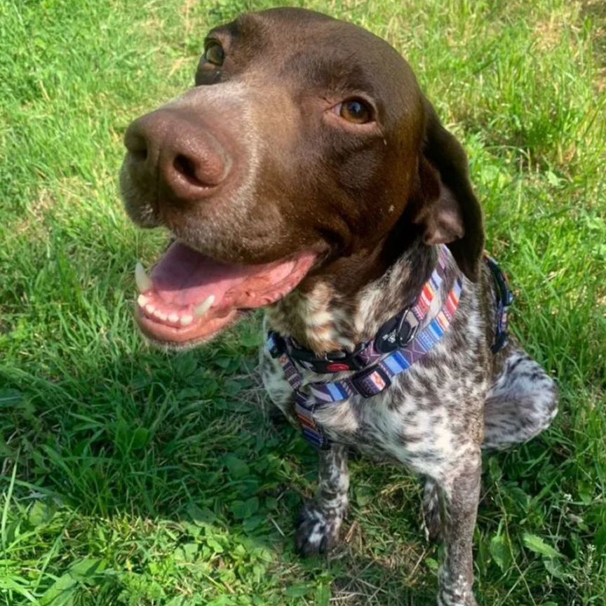 Лаки для души и обнимашек